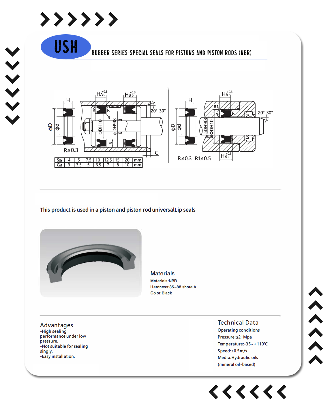 Hydraulic System – Piston and Piston Rod Dual Use Seals (USH)
